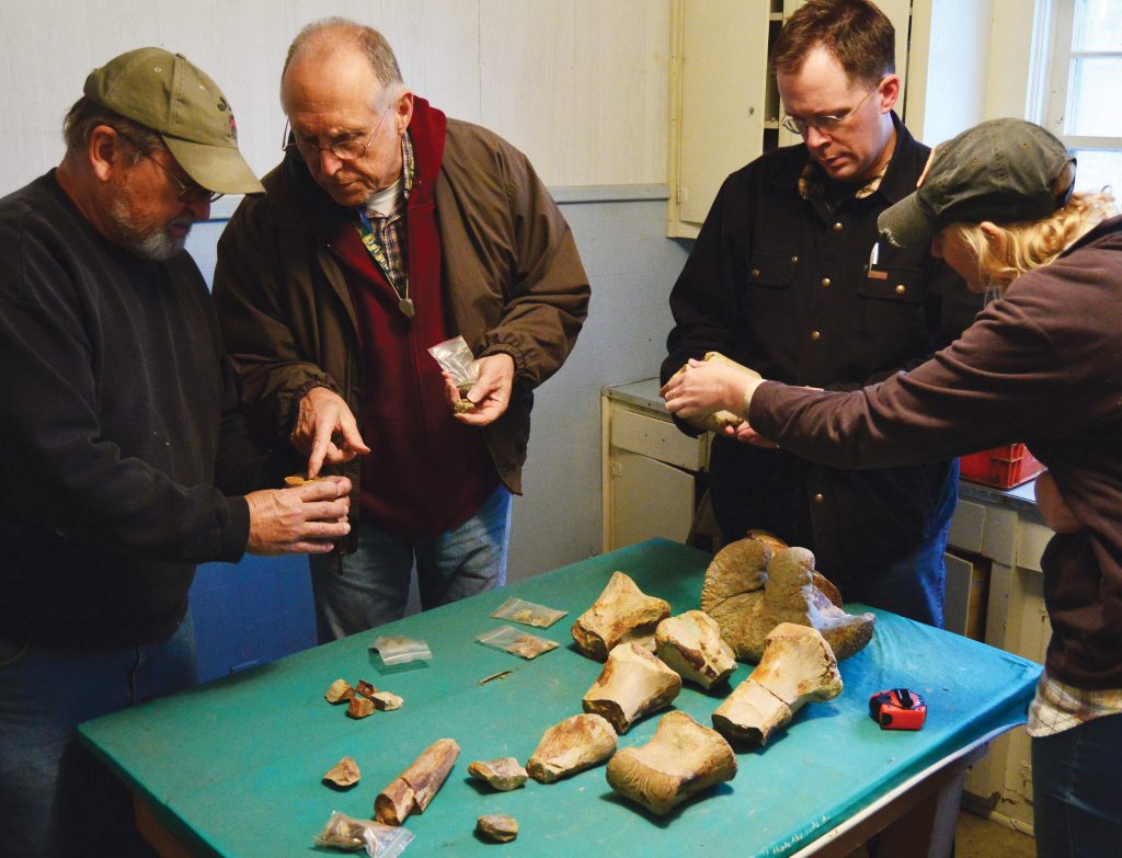 Dino bones donated to local museum; fossils have connection to ...